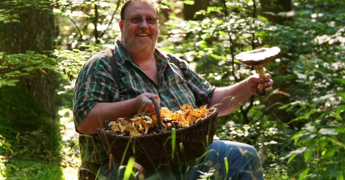 Wie wird die Pilz-Saison in Düsseldorf?